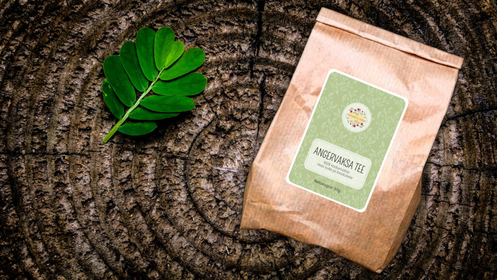 Angervaksa tee - Puutumata Loodus